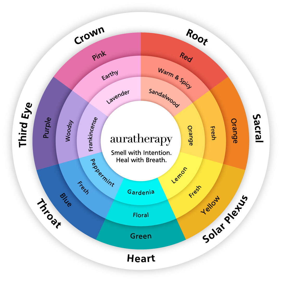 The Aromatherapy Scent Wheel: A New Way to Smell and Heal | Auratherapy